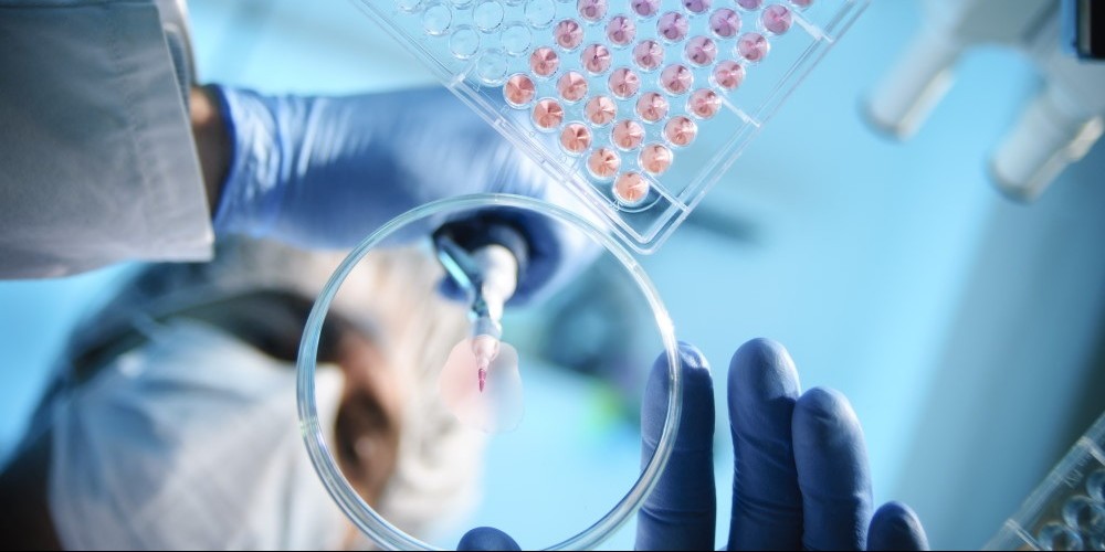 Biomedical Research in Action! - Matrix